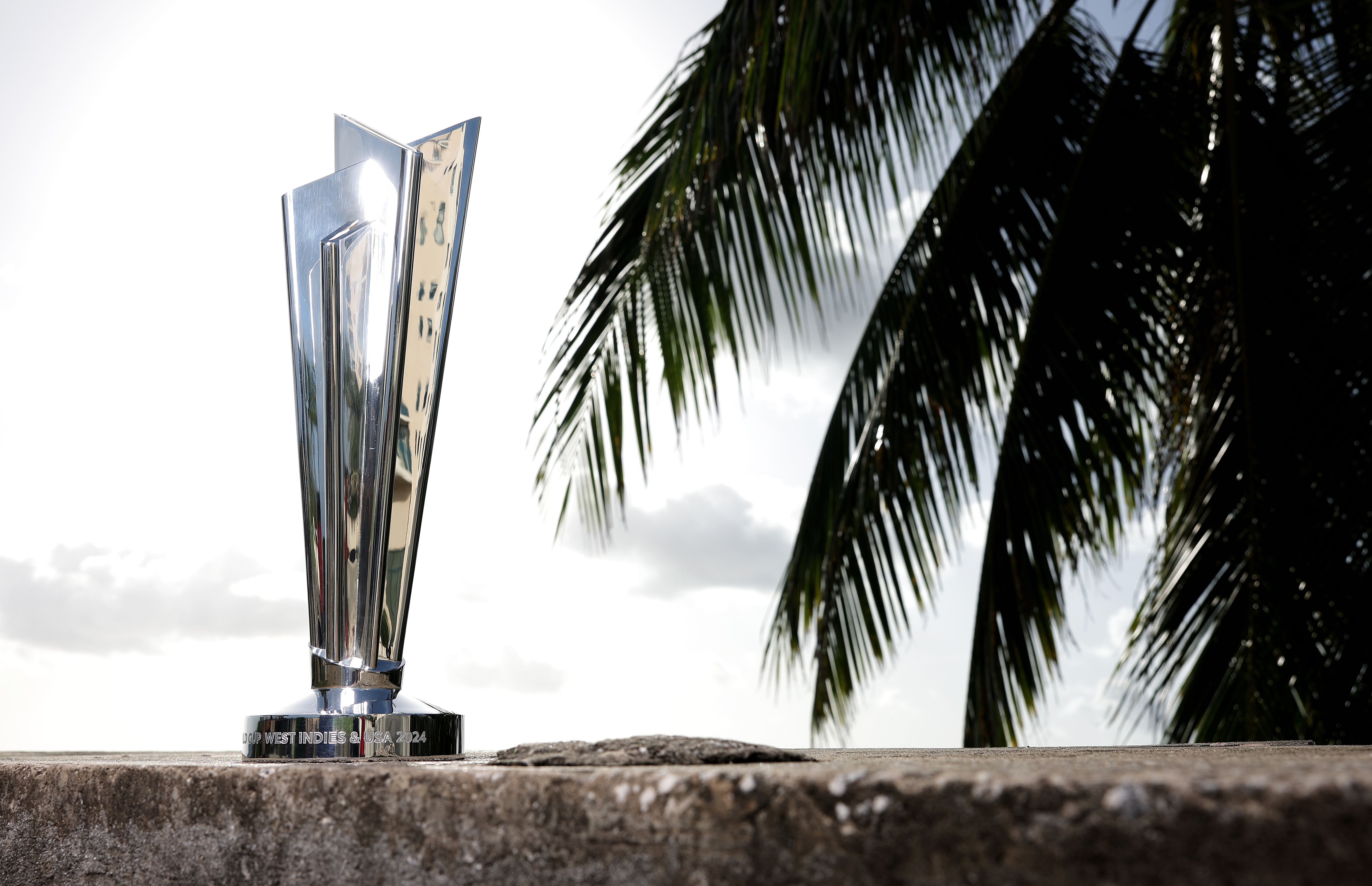 Who conquered the world in the first-ever T20 World Cup