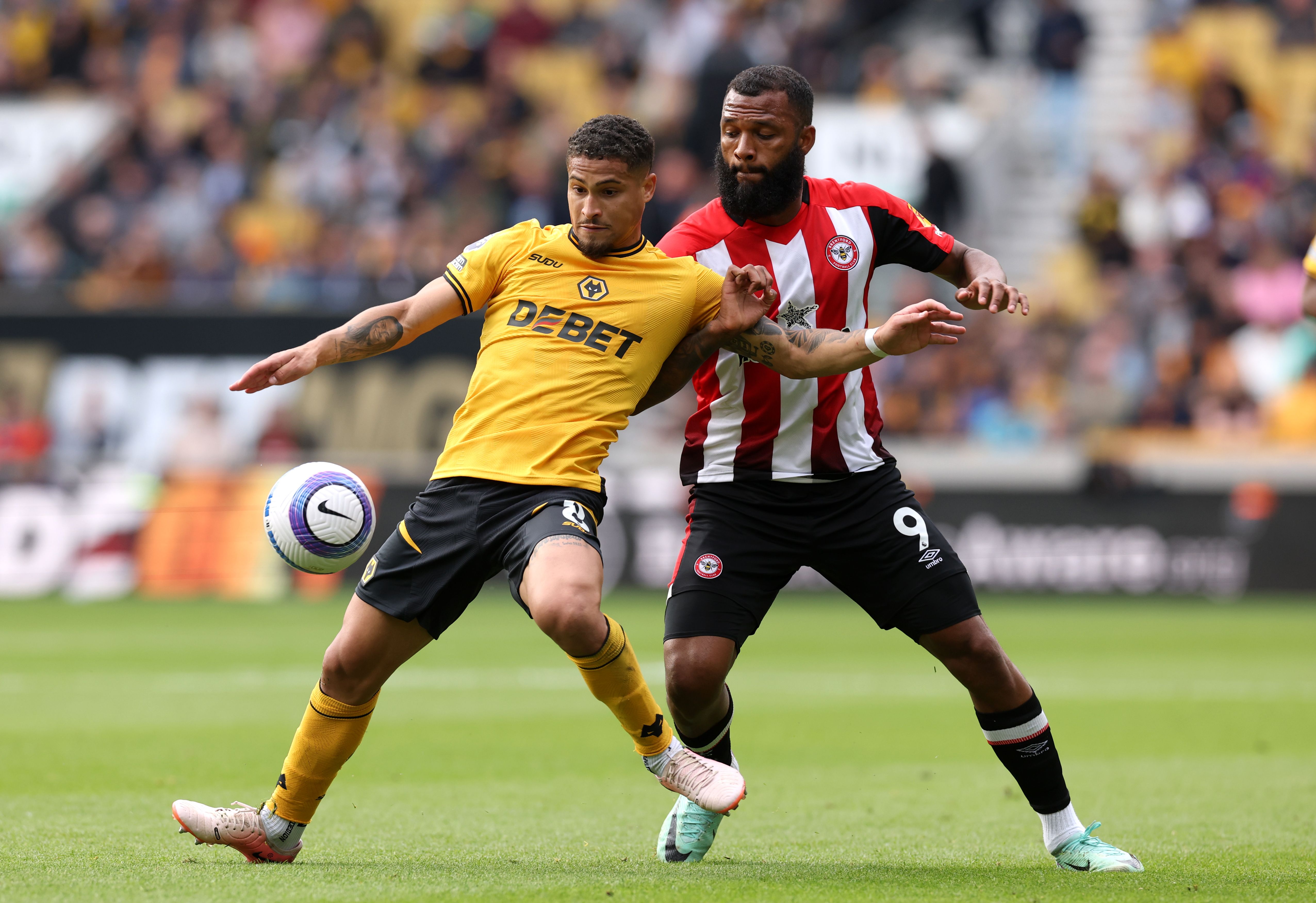 Wolves vs Brentford Preview: Odds, Tips and Prediction