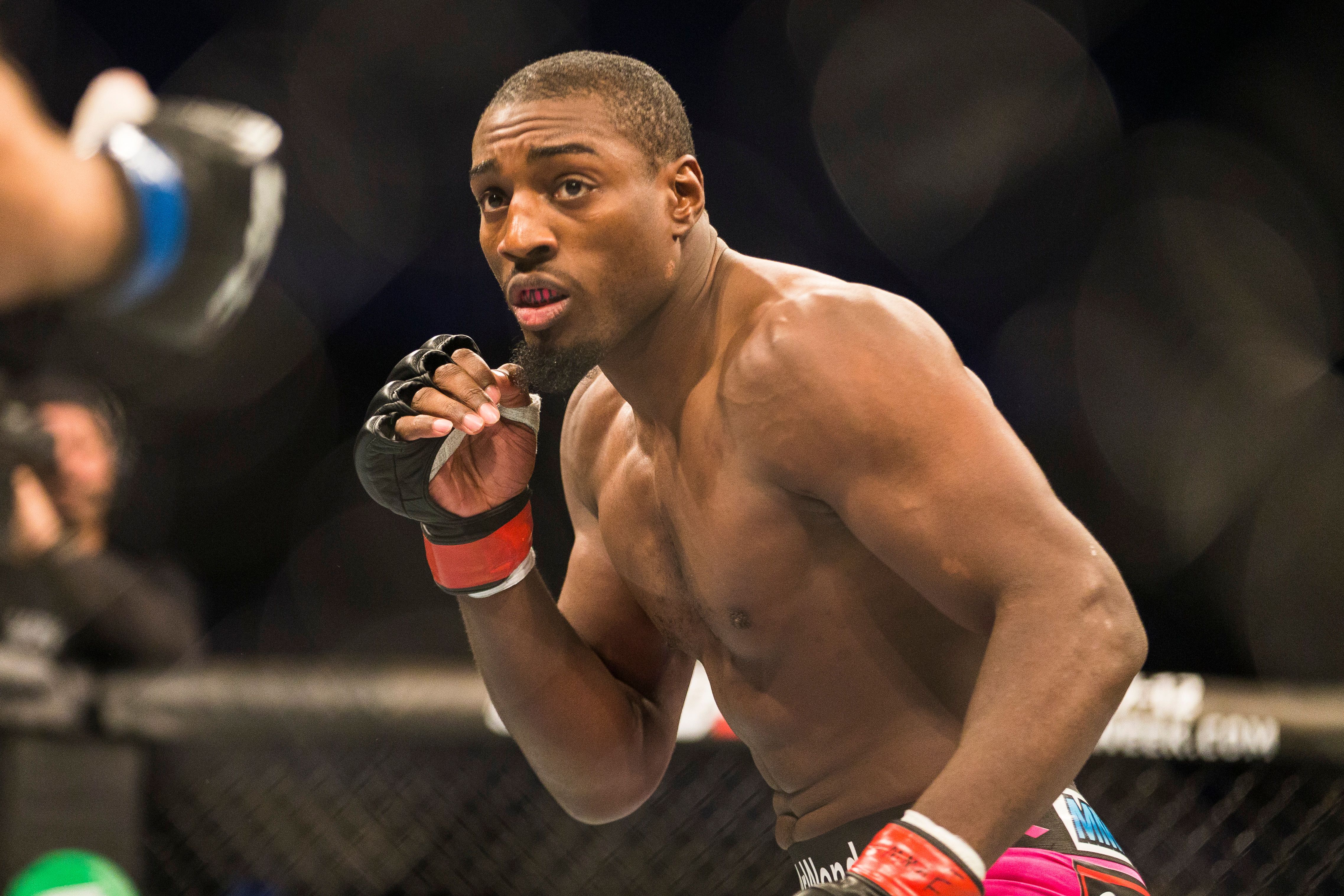 2025 PFL Heavyweights & Light Heavyweights First Round Preview: Odds ...