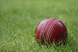 T20 Powerplay: Rules, Overs, and Strategies