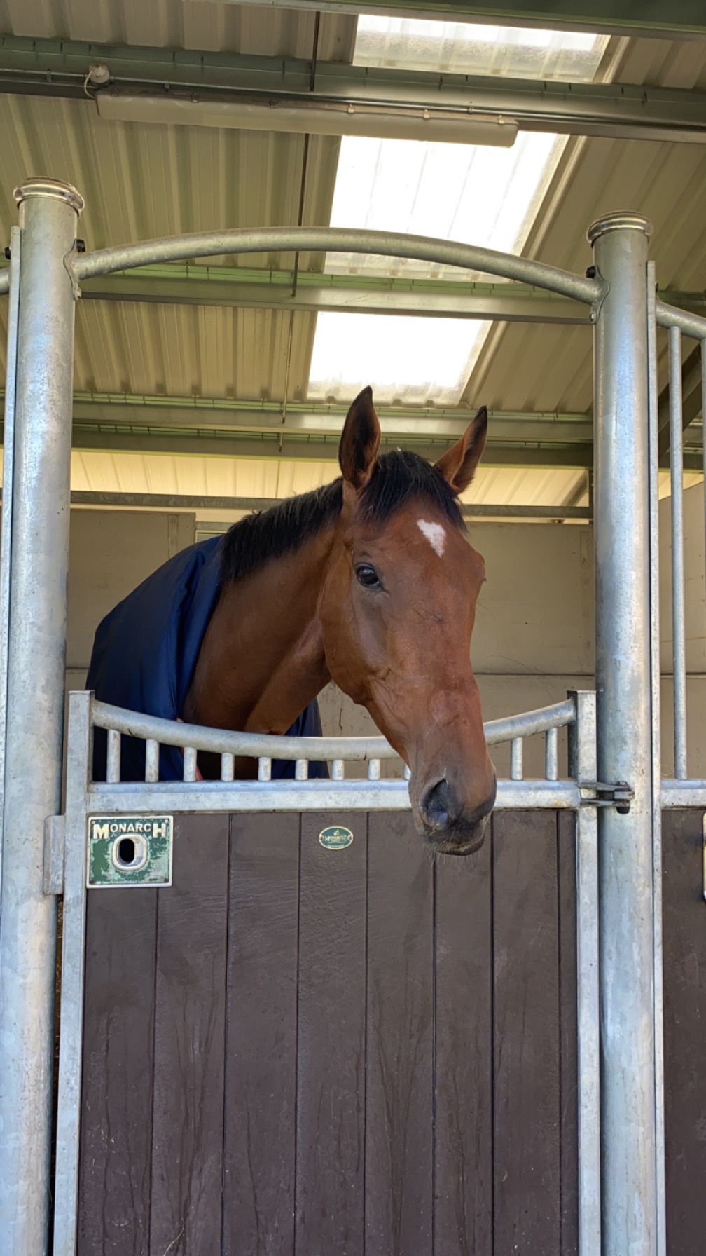 New Route for Cheltenham Favourite Shakem Up’arry, and “The Skies the ...
